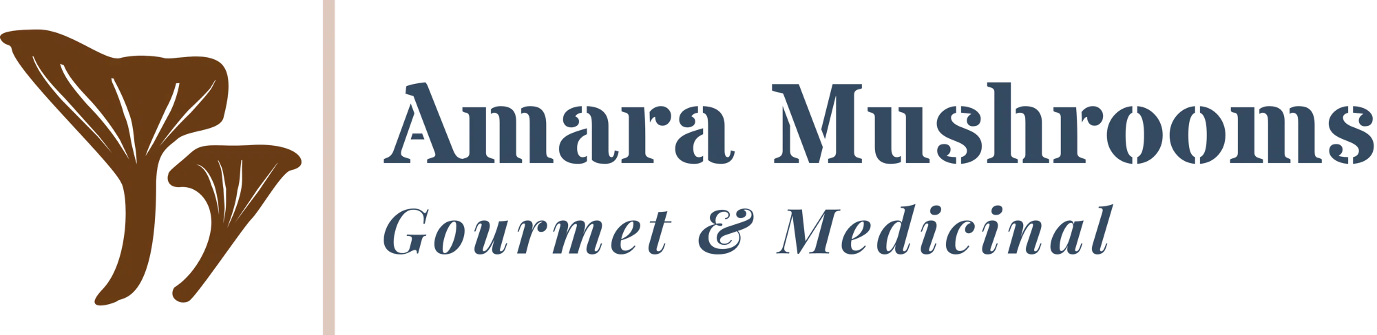 Amara Mushrooms Promo Codes - $180 Off in January 2025