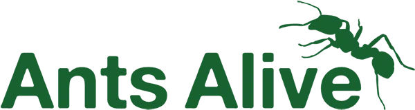 Ants Alive Promo Codes - 20% Off (Sitewide) in Dec 2025