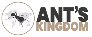 Ant's Kingdom Promo Codes - 20% Off Memorial Day 2025