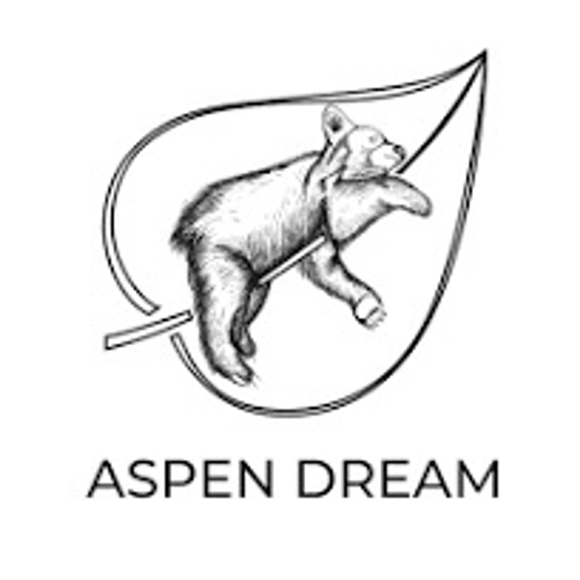 Aspen Dream Promo Codes - $20 Off (Sitewide) in Sep 2025