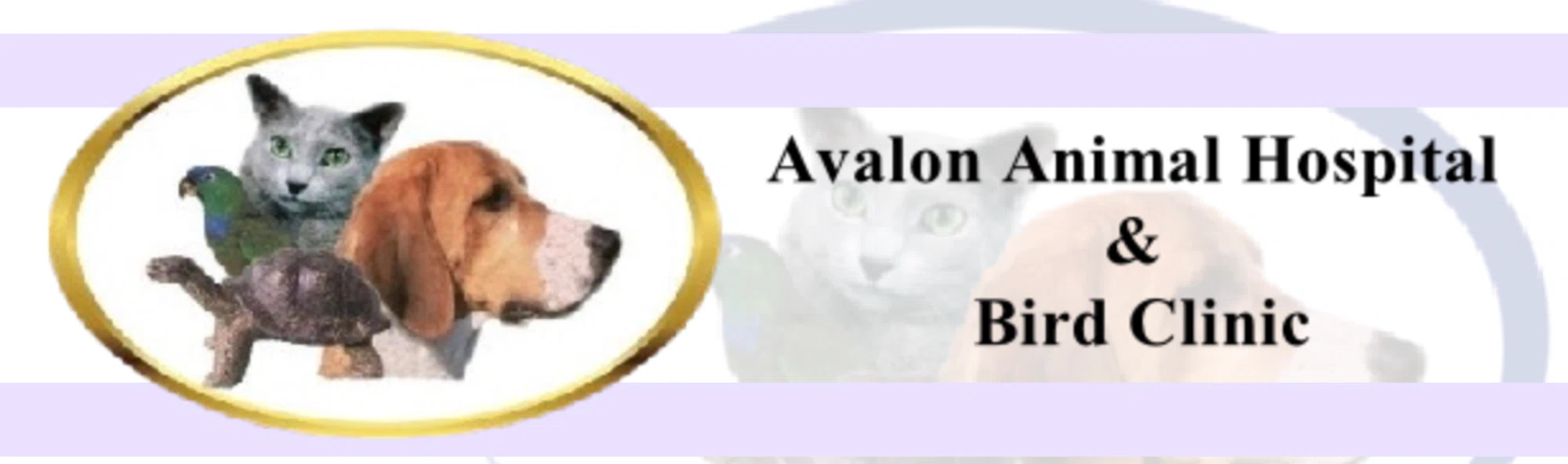 Avalon Animal Hospital & Bird Clinic Promo Code - $100 Off in 2025