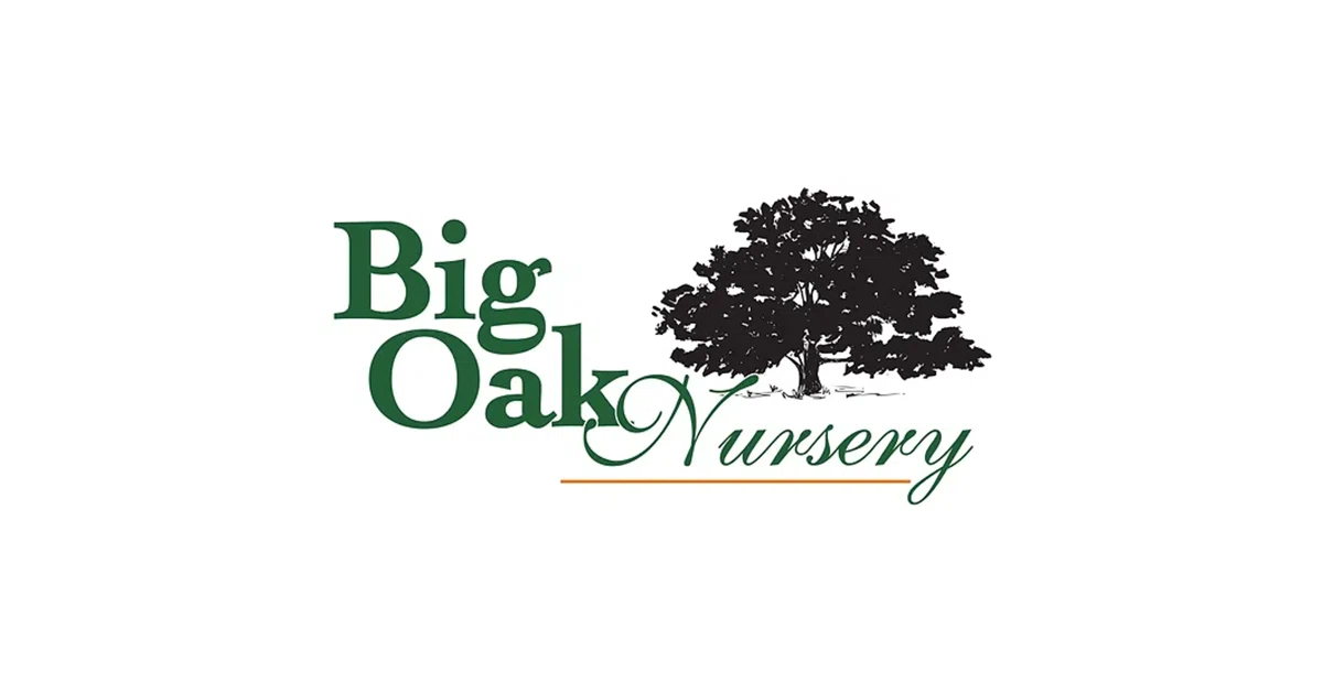 Big Oak Nursery Promo Codes 160 Off In March 2025