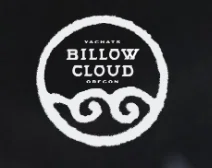 Billow Cloud Soaps Promo Codes - $65 Off in July 2025