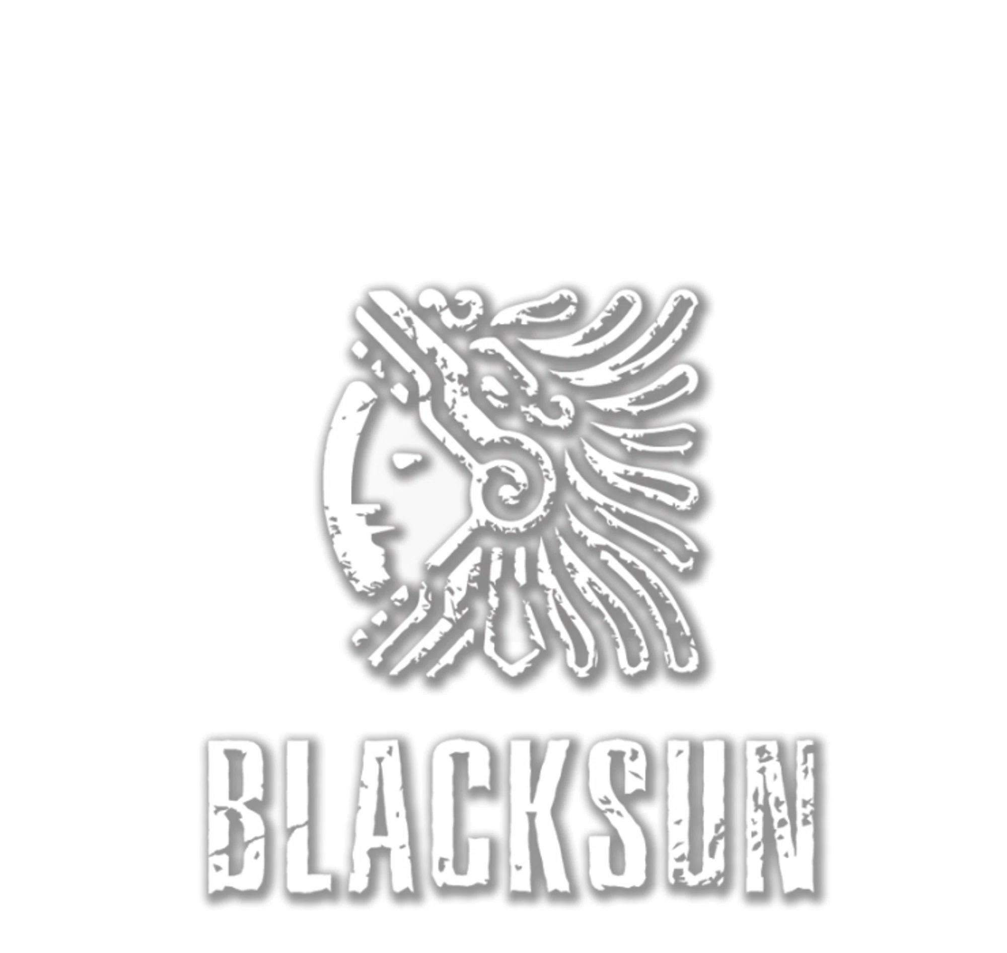 Black Sun Miniature Discount Codes - $200 Off in Oct 2025