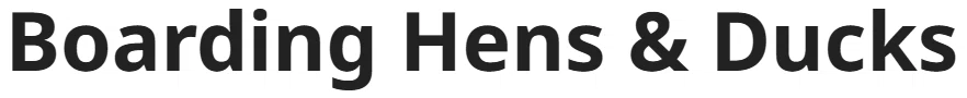 Boarding Hens Discount Codes - $200 Off in April 2025