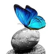 Butterfly Express Quality Essential Oils Promo Code - 15% Off in 2026