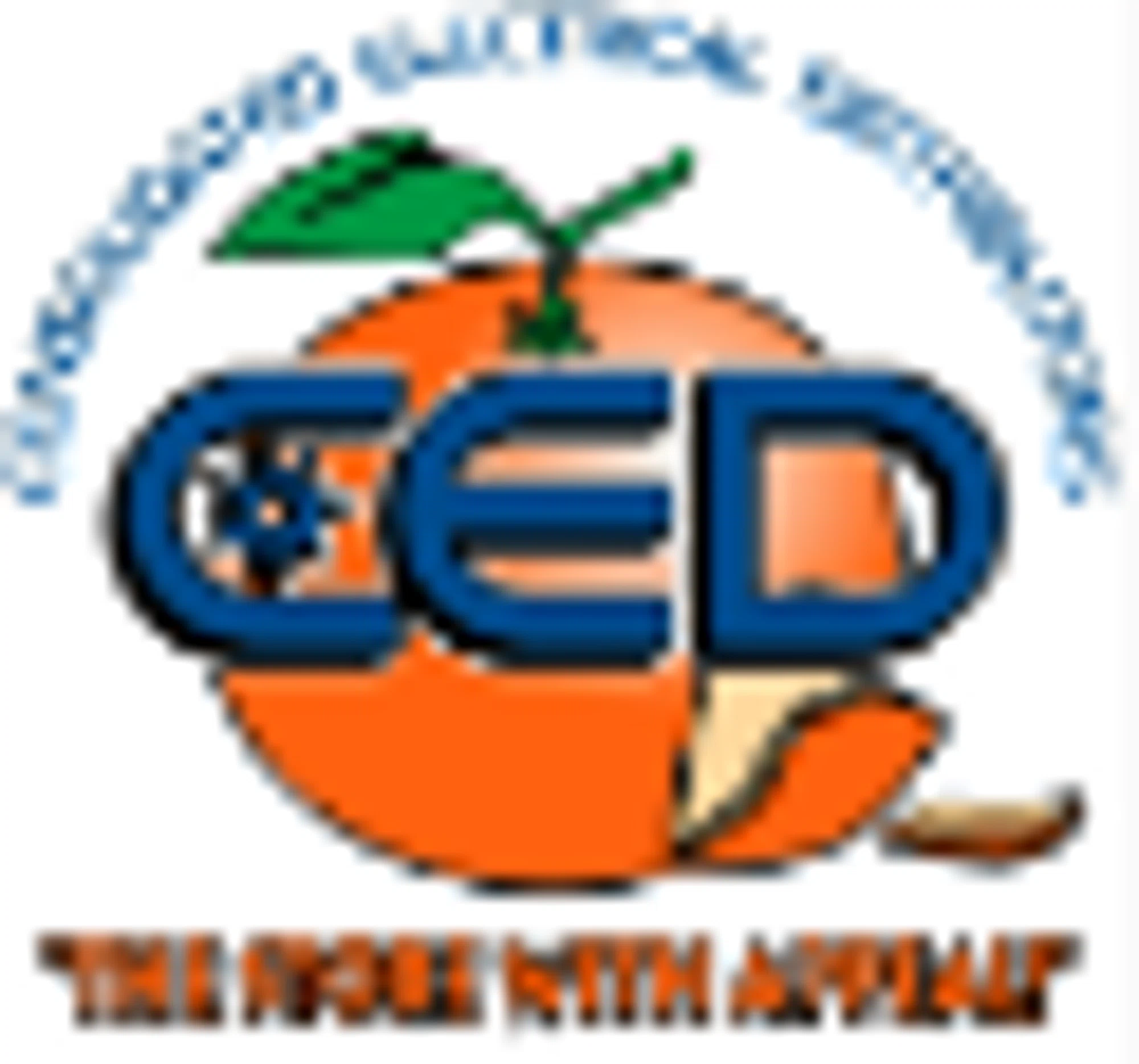 CED Orange Promo Codes - $160 Off (Sitewide) in June 2025