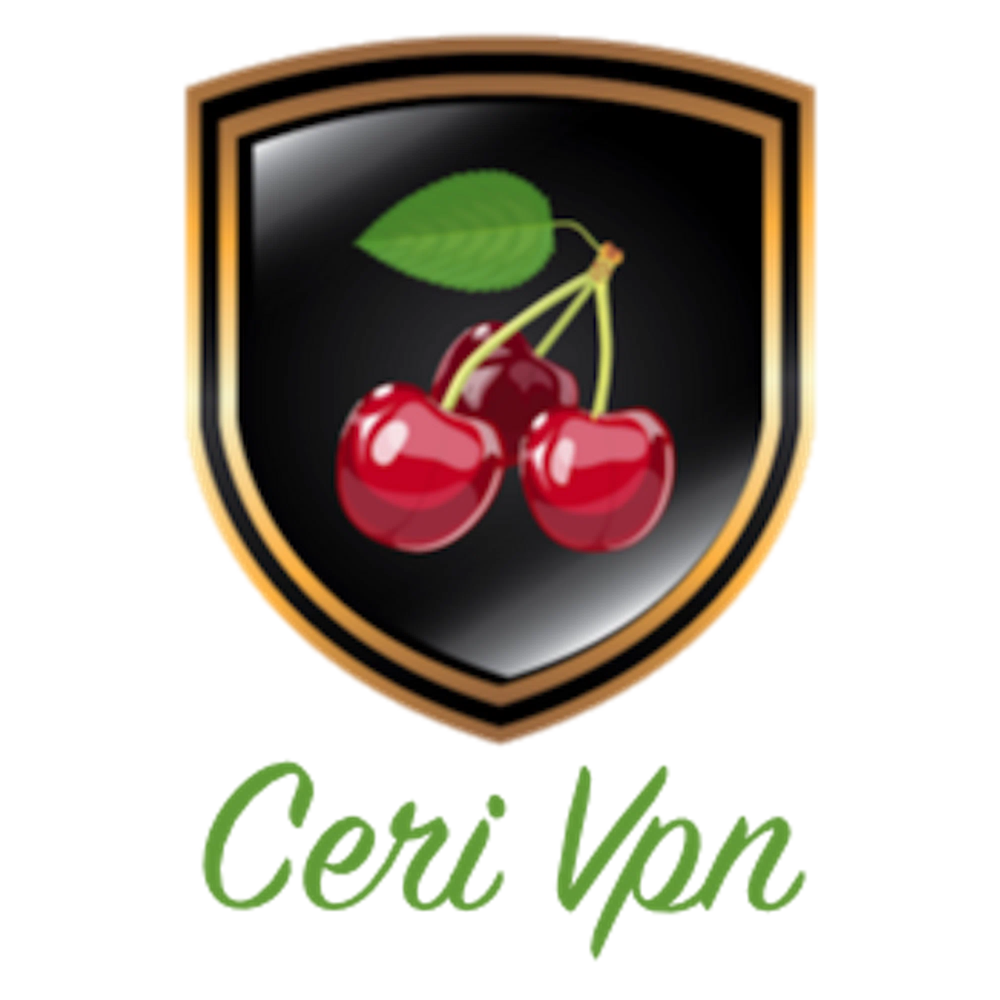 Ceri VPN Promo Codes - 10% Off (Sitewide) in January 2025