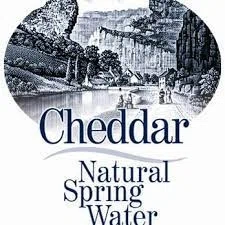 20% Off Cheddar Water Promo Code, Coupons July 2025