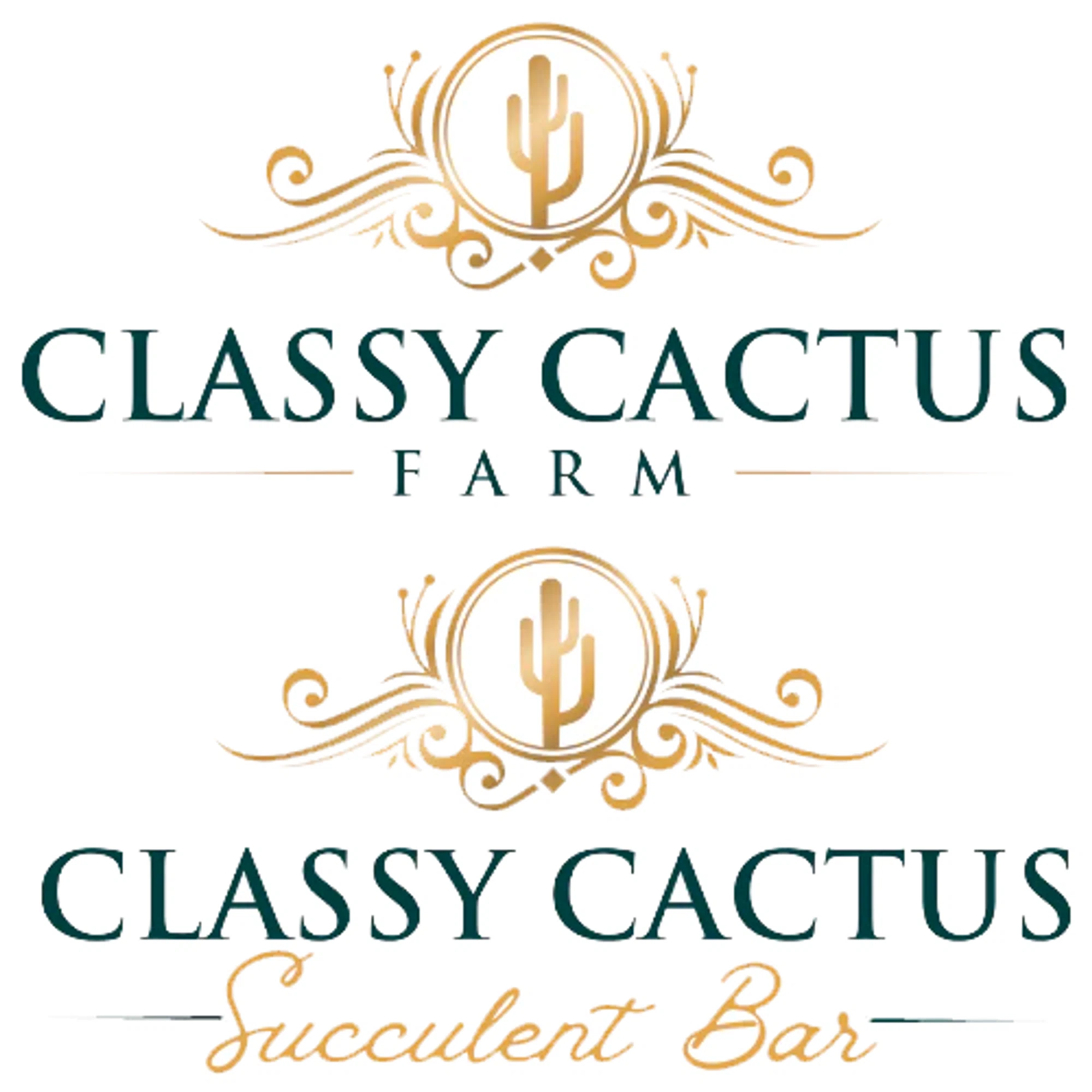 Classy Cactus Farm Promo Codes - 25% Off in August 2025