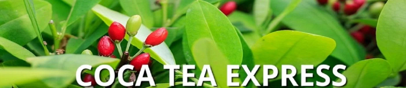 Coca Tea Express Promo Codes - 10% Off in June 2025