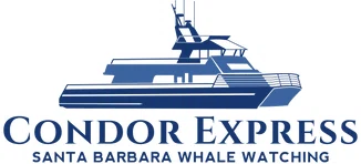 Condor Express Promo Codes - $200 Off in November 2025