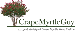 Crape Myrtle Guy Promo Codes - $50 Off in April 2026