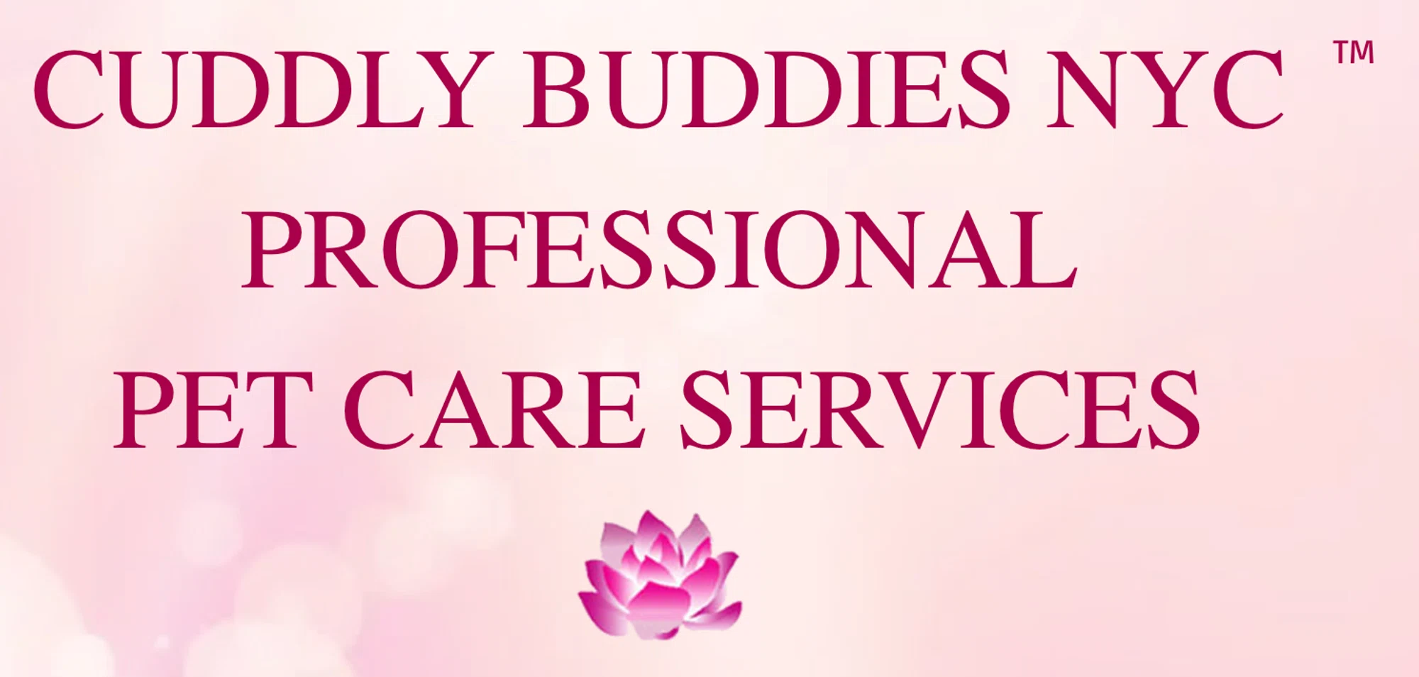 Cuddly Buddies Promo Code - 50% Off (Sitewide) in Apr 2025