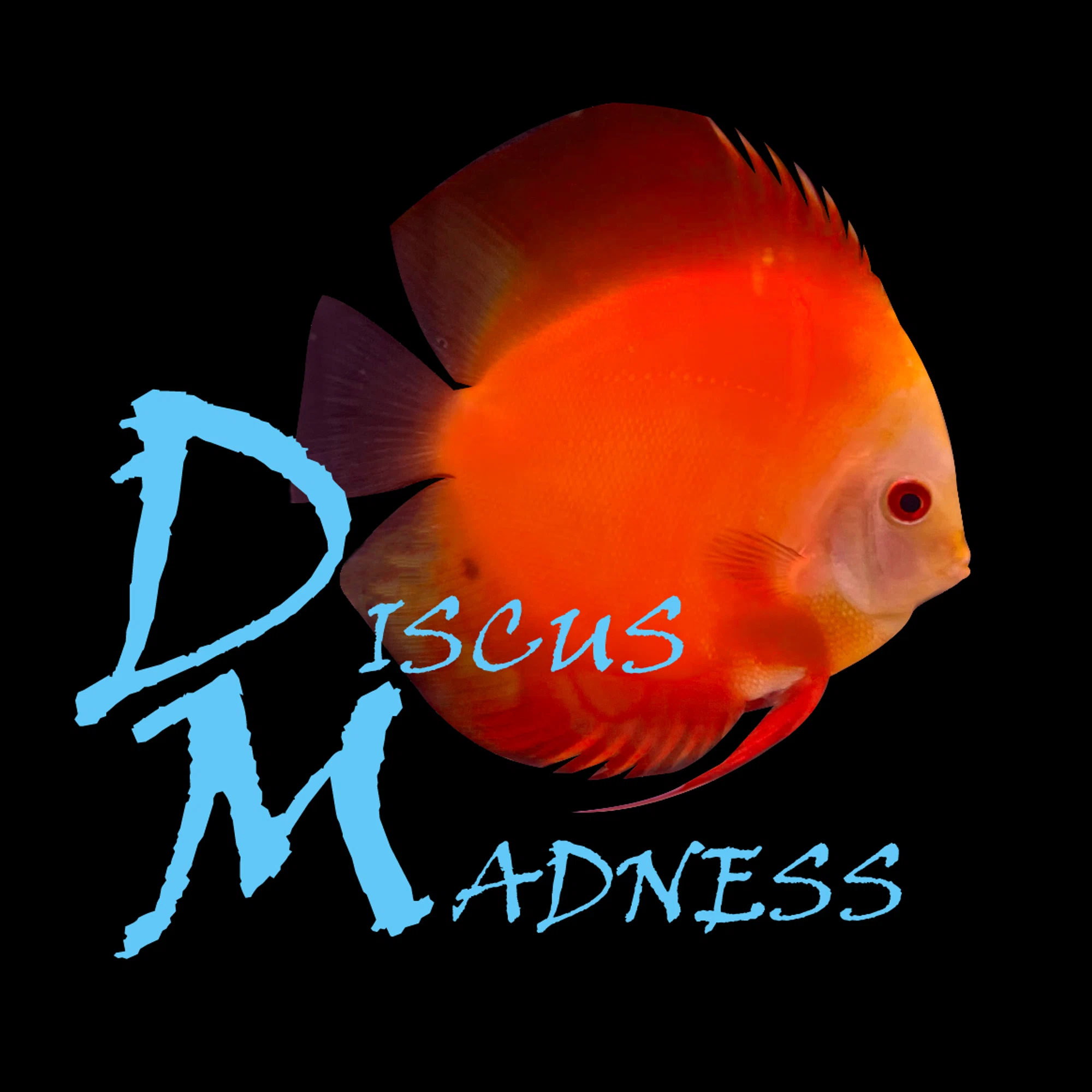 Discus Madness Promo Code - 45% Off (Sitewide) in Oct 2025