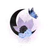 EllieRayne&Co. Promo Code - 80% Off (Sitewide) in Feb 2025