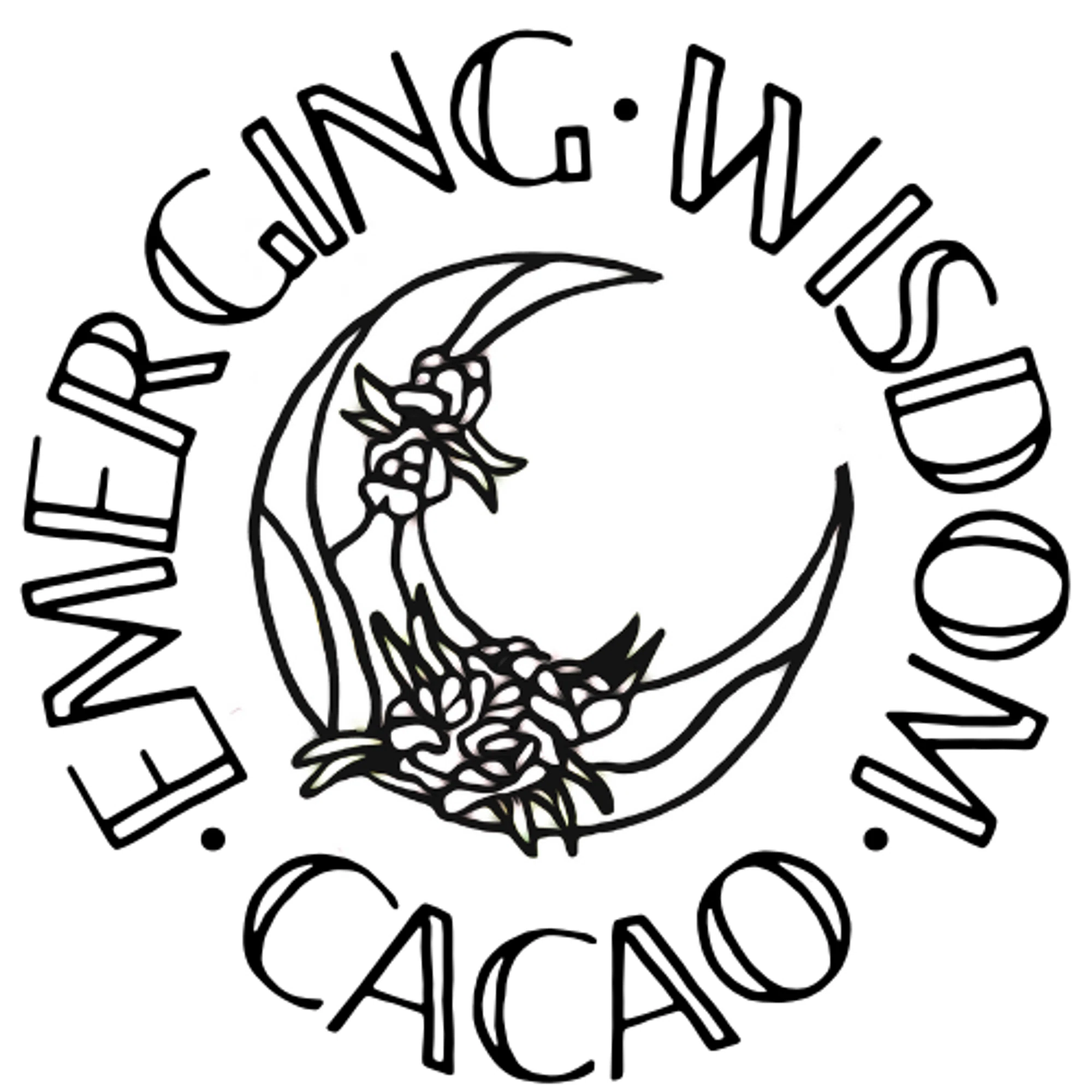 Emerging Wisdom Promo Codes - 70% Off in July 2025