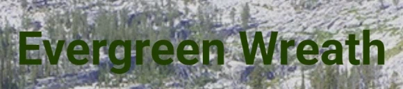 Evergreen Wreath Promo Codes - 75% Off in February 2025