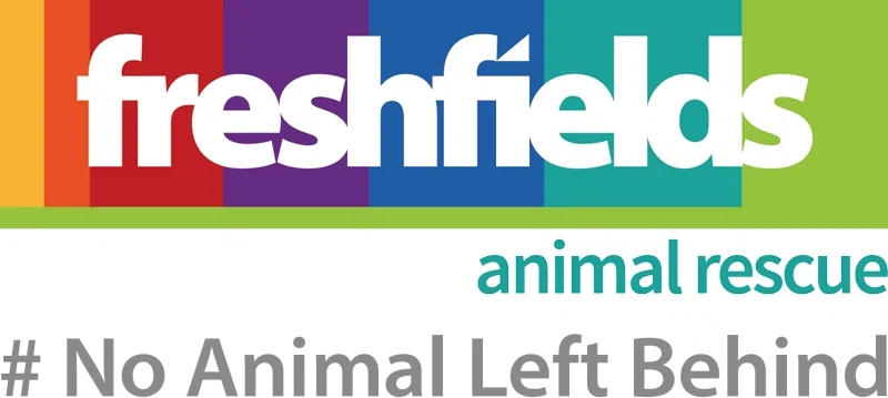 Freshfields Rescue Discount Codes - $200 Off in Nov 2025