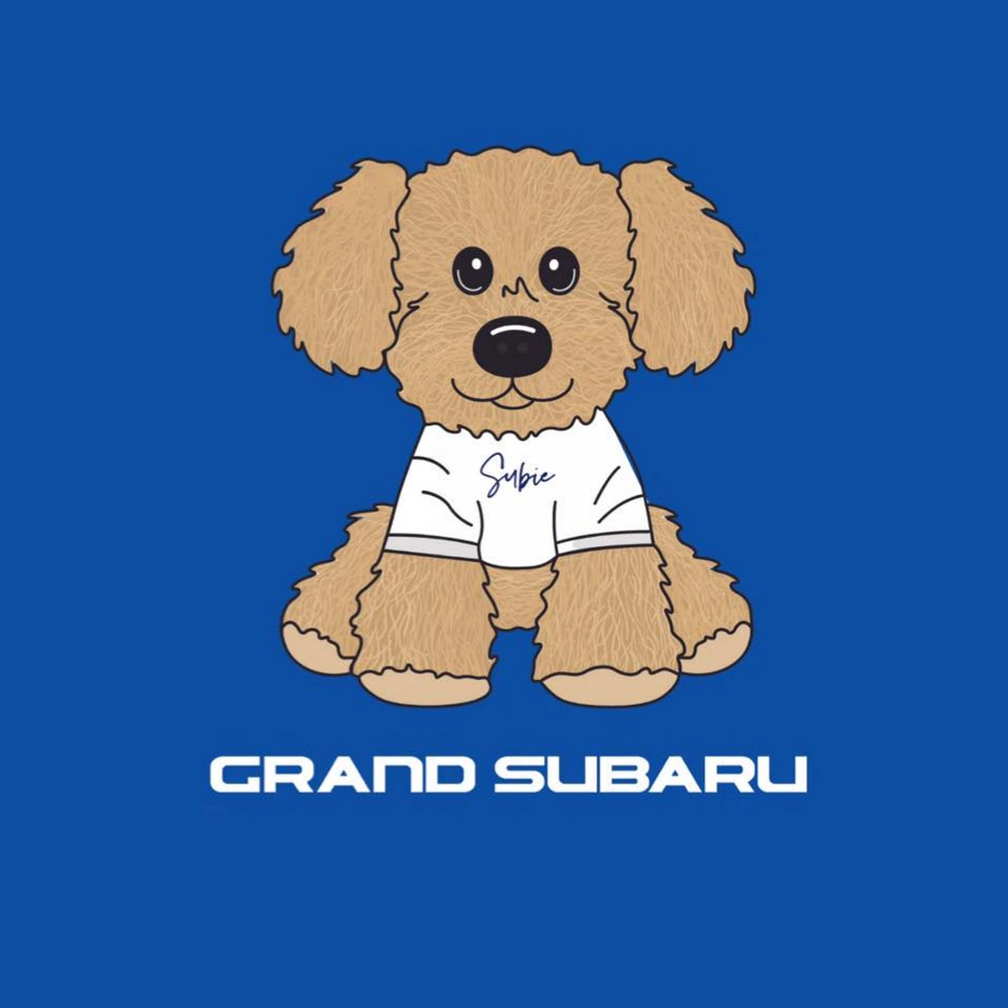 Grand Subaru Promo Codes - $50 Off (Sitewide) in July 2025