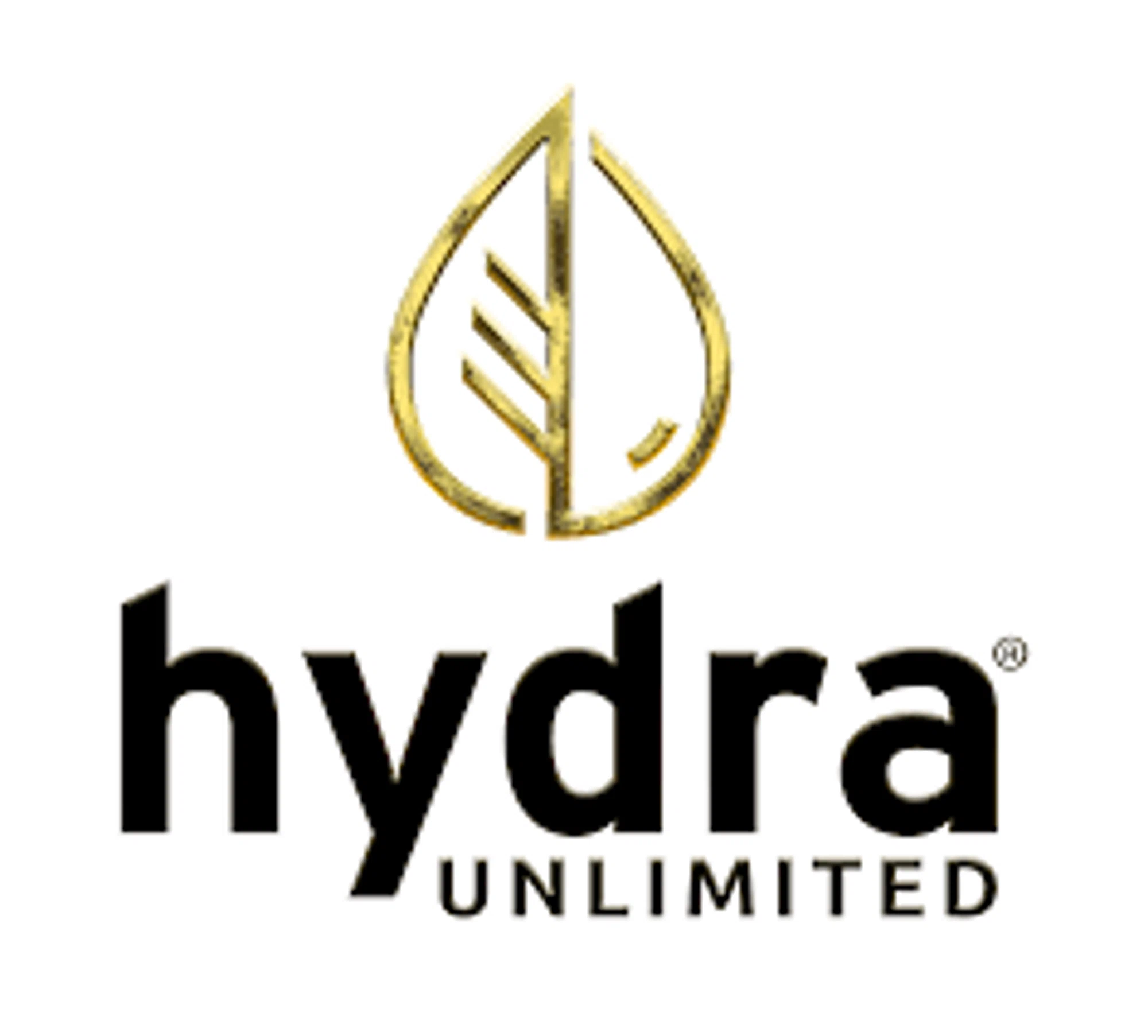 Hydra Unlimited Promo Codes - $200 Off in October 2025