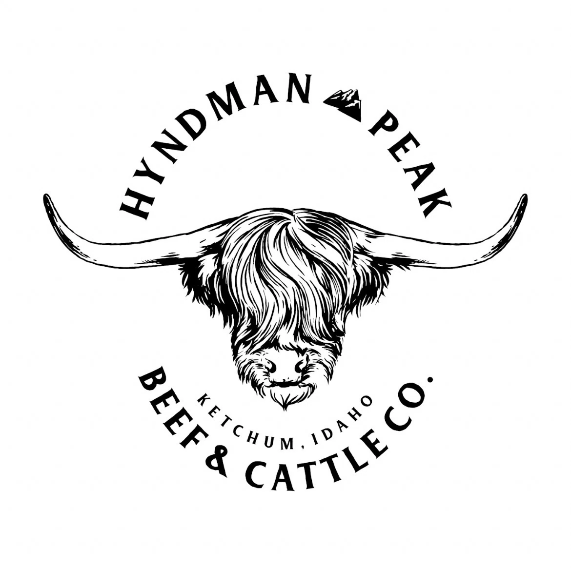 20% Off Hyndman Peak Beef Promo Code, Coupons Mar '26