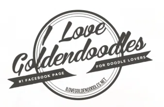 20% Off I love Goldendoodles Promo Code, Coupons Jan '26