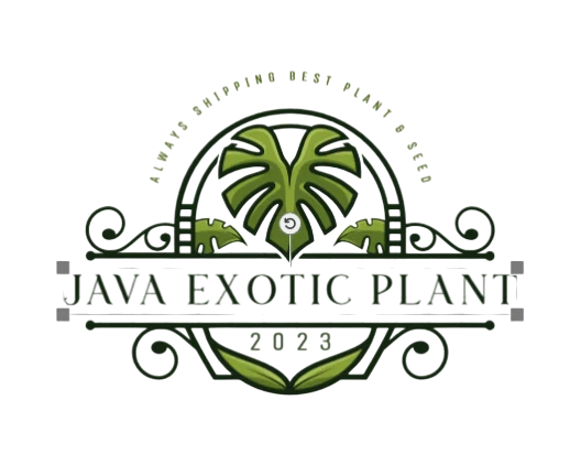 JAVA EXOTIC PLANT Promo Codes - 85% Off in October 2025