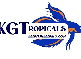 KGTropicals Promo Codes - 10% Off (Sitewide) in June 2026