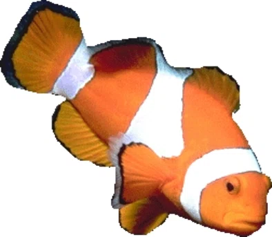 LinangData Promo Codes - $200 Off (Sitewide) in Feb 2025