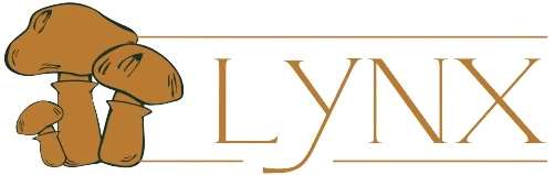 Lynx Caps Promo Codes - 25% Off (Sitewide) in Dec 2025