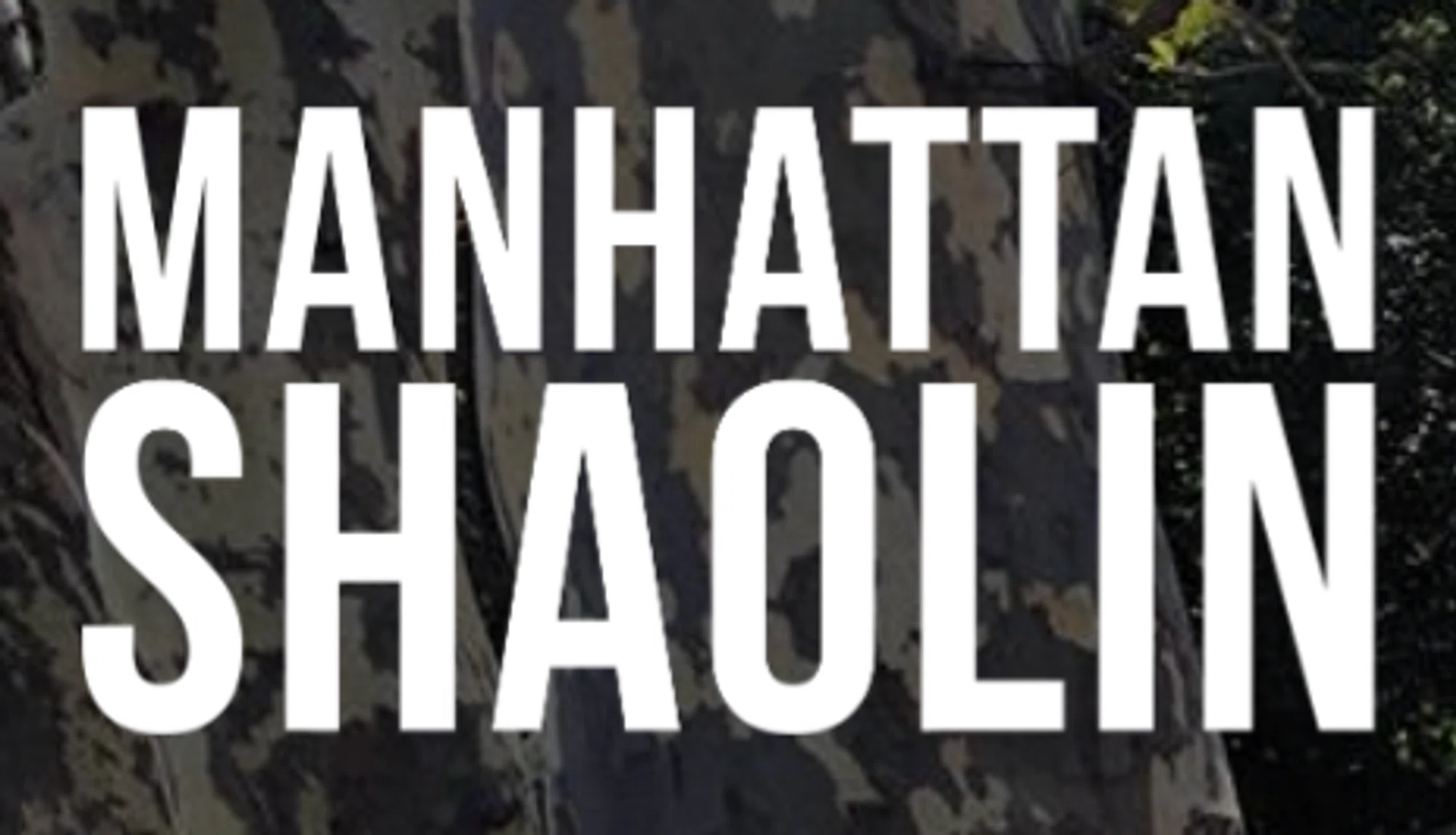 Manhattan Shaolin Promo Codes - $150 Off in October 2025