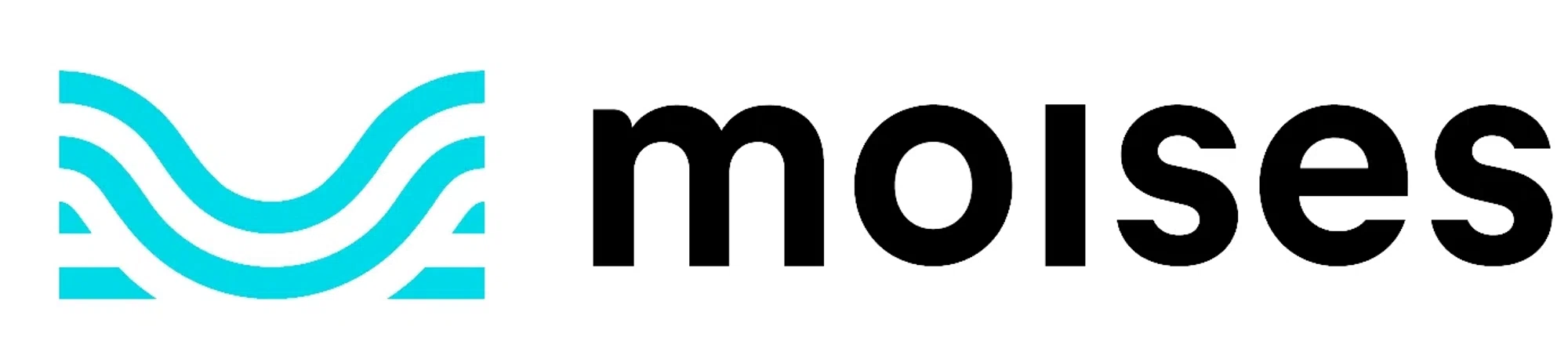 Moises IT Promo Codes - 75% Off Discount Code June 2025