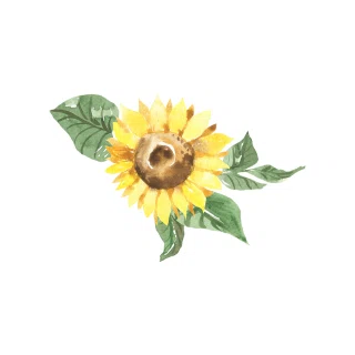 60% Off More Cuteness Promo Code (6 Active) Dec '25