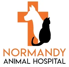 Normandy Animal Hospital Promo Code - $50 Off in Feb 2025