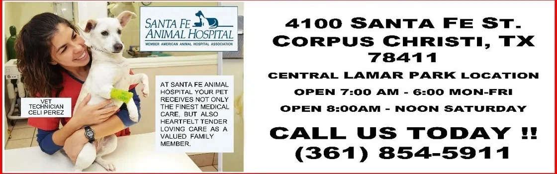 Santa Fe Animal Hospital Promo Code - $100 Off in Jun 2025
