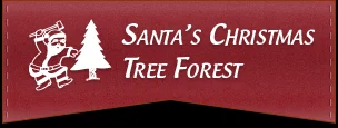 20% Off Santa's Christmas Tree Forest Promo Code Dec '25