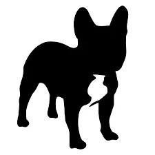 Stella Coffee Beverly Hills Promo Codes - 15% Off in Sep 2025