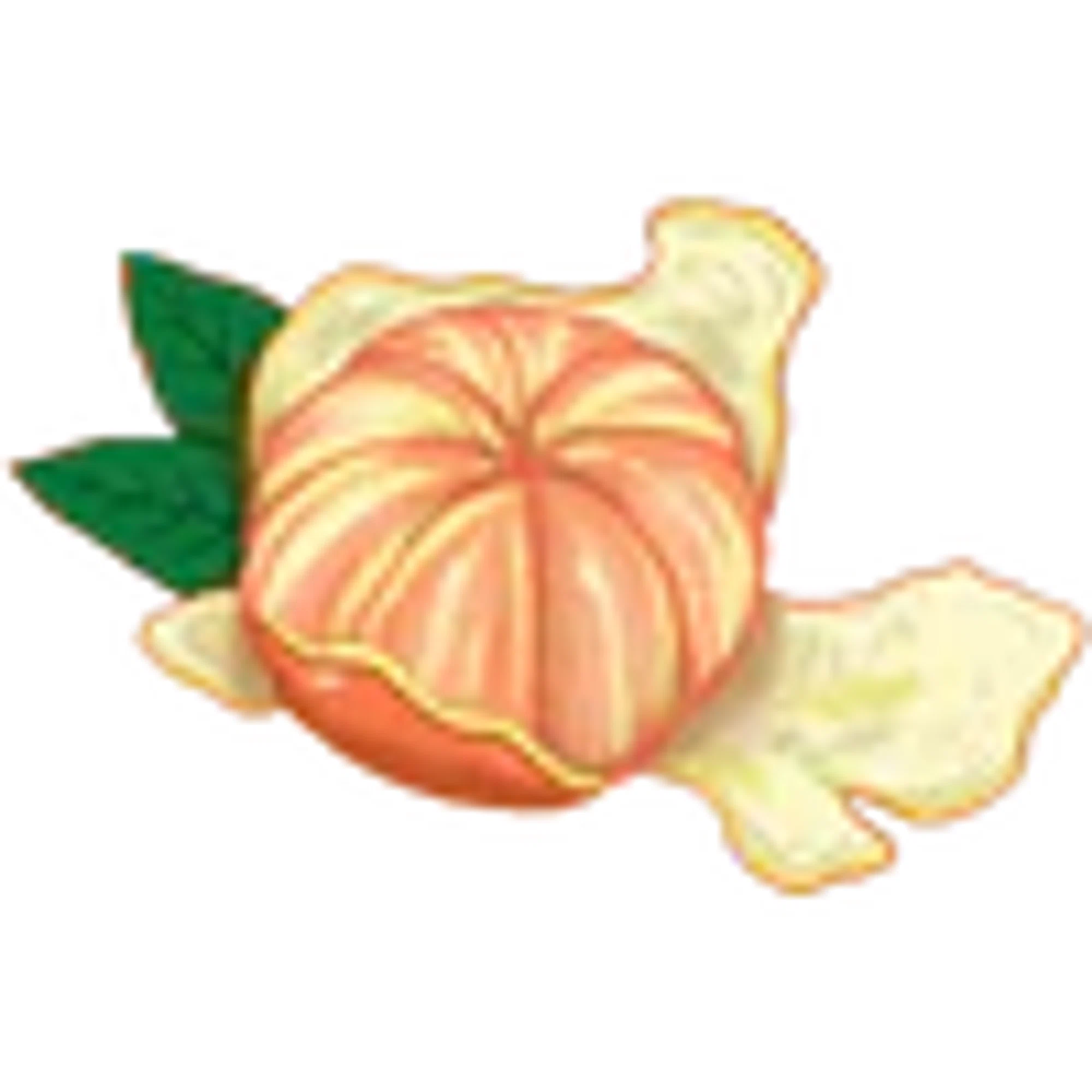 Tanjerine.Studios Promo Codes - $100 Off in May 2025