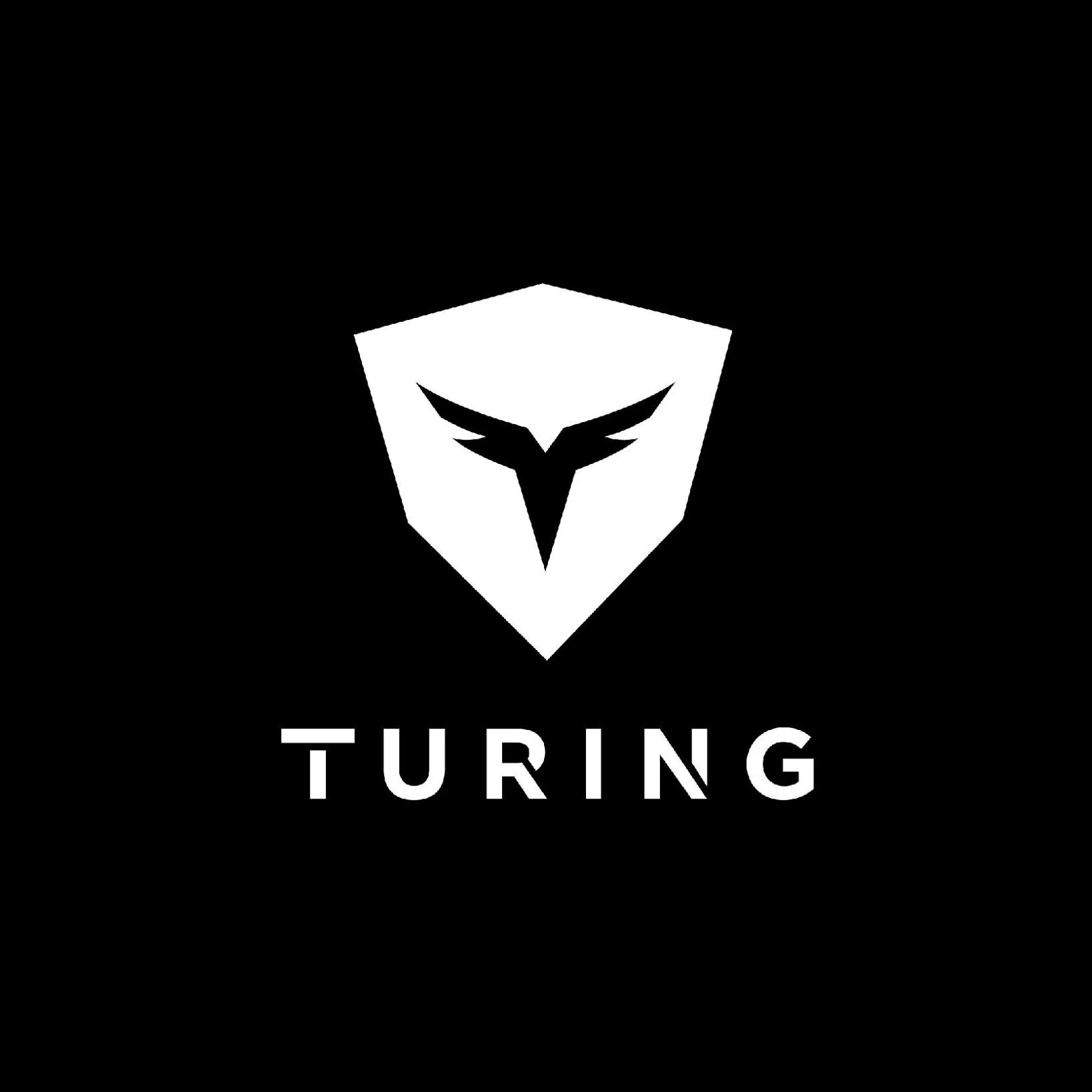 Turing AI Promo Codes - $100 Off (Sitewide) in Sep 2025