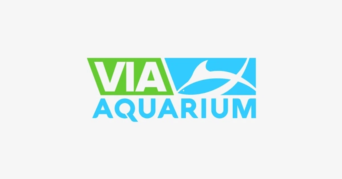 VIA AQUARIUM Discount Code Get 100 Off In June 2024 via-aquarium-discount-code-get-100-off-in-june-2024
