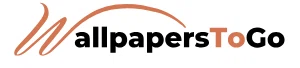 25% Off Wallpapers To Go Discount Code, Coupons May '26