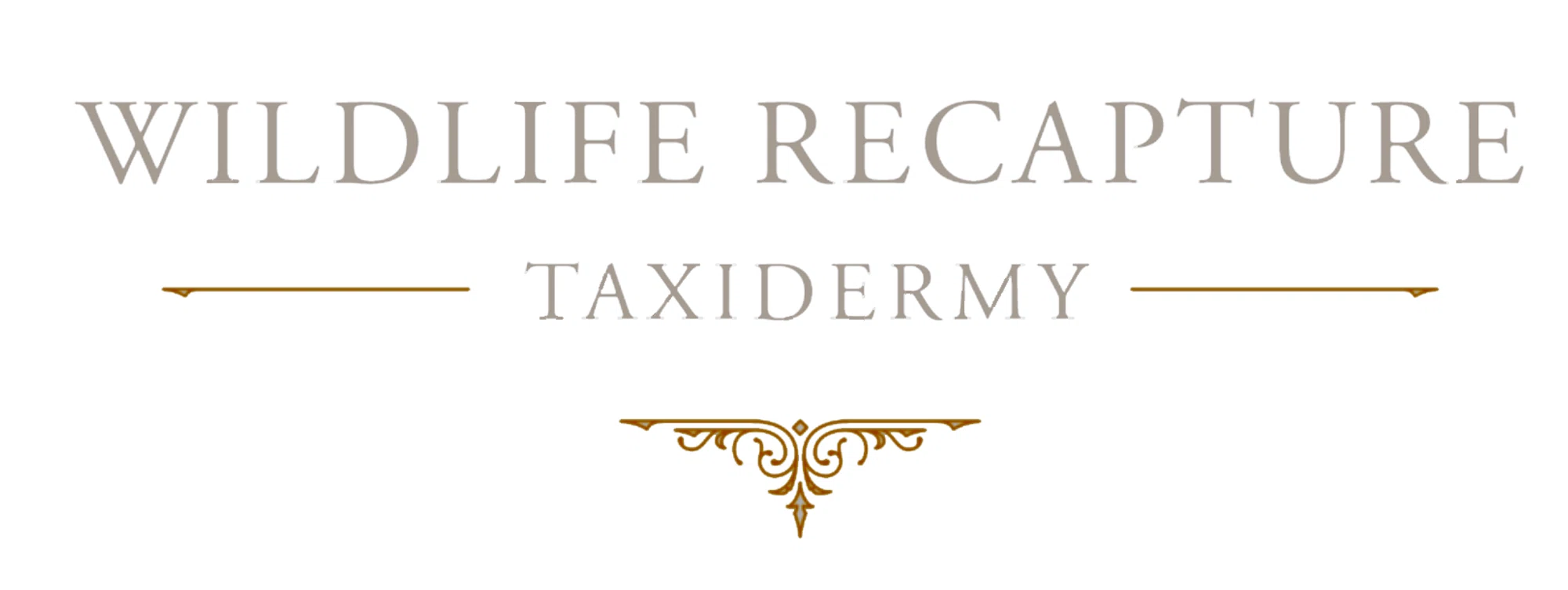 Wildlife Recapture Taxidermy Promo Code - 30% Off in 2025